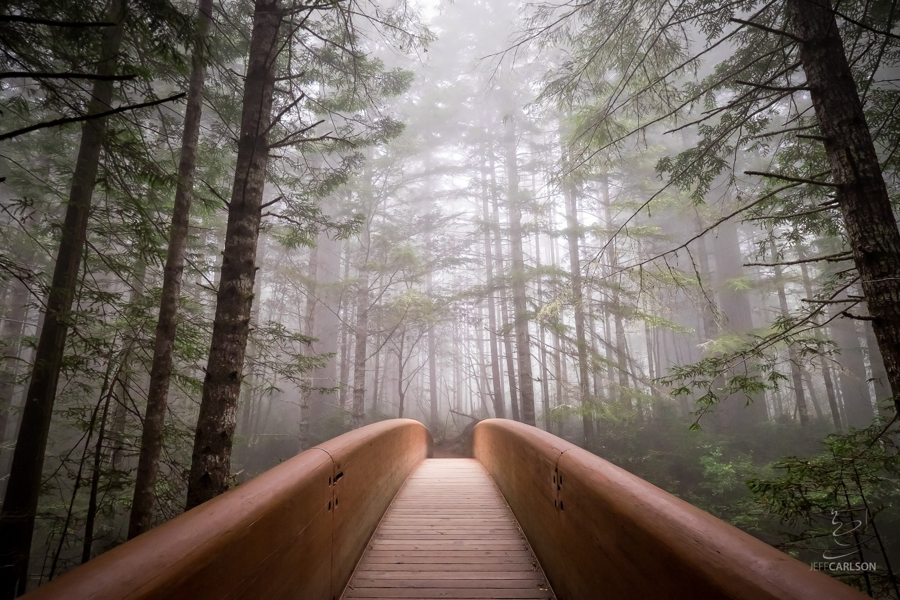 path – Jeff Carlson | Never Enough Coffee Creations