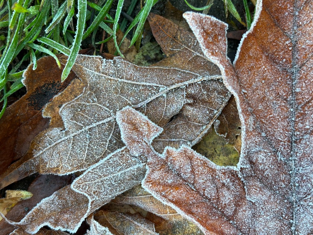 iPhone 15 Plus Sample Gallery at DPReview – Jeff Carlson | Never Enough ...